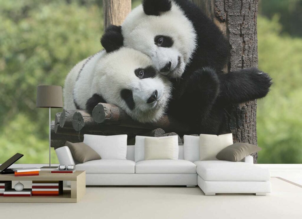 Fotomural Osos Panda y Pardo