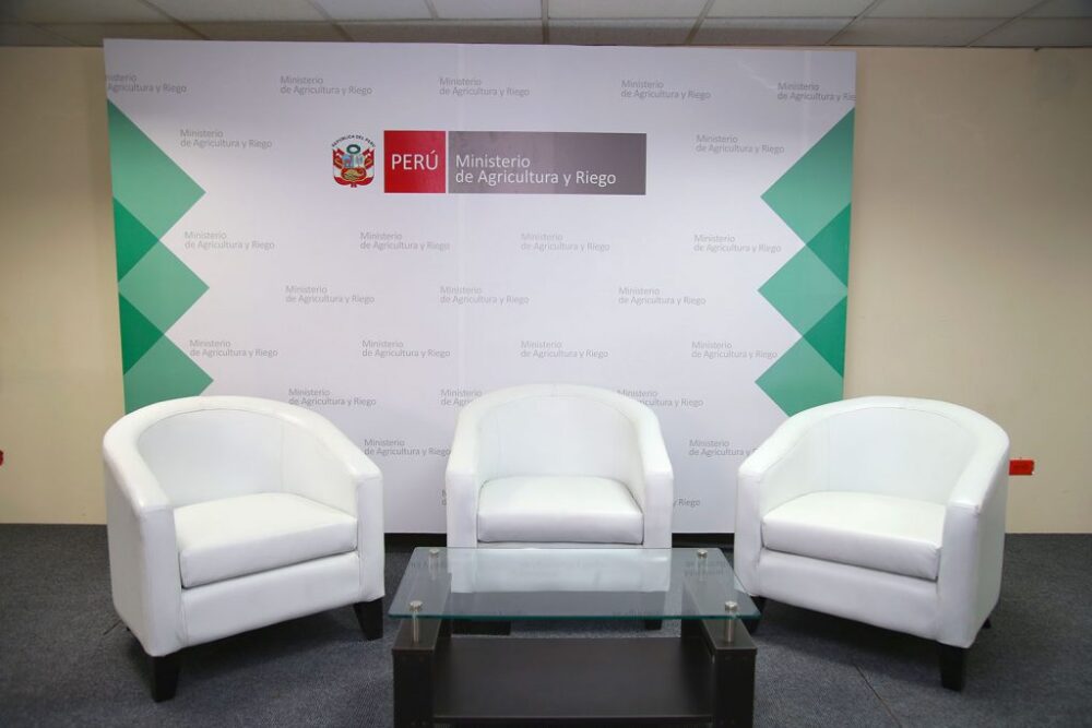 Backing y Escenarios para eventos